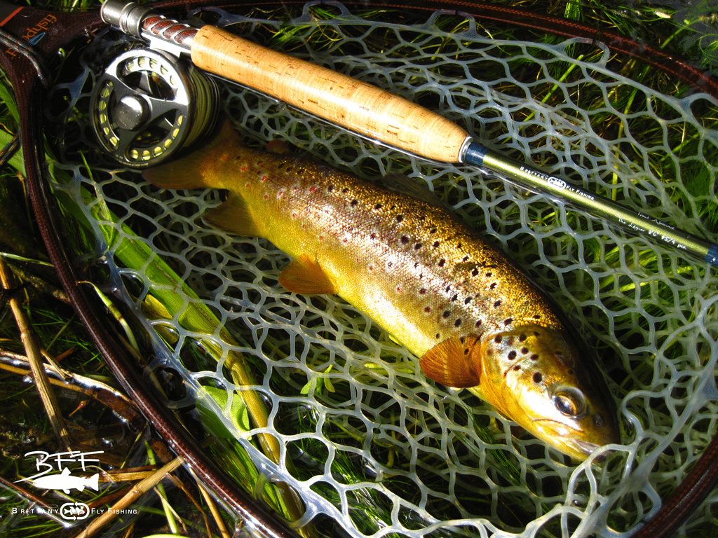 My Custom Rods are finally here and can now be ordered - Brittany Fly ...