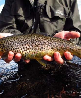 Russia Varzina Trout Camp | Brittany Fly Fishing